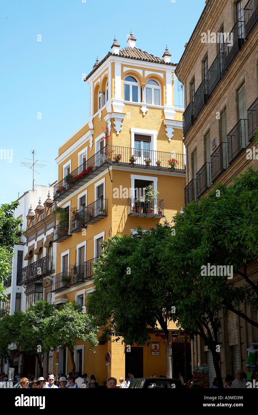 A Street View of a Traditional Seville Building with Orange Trees in ...