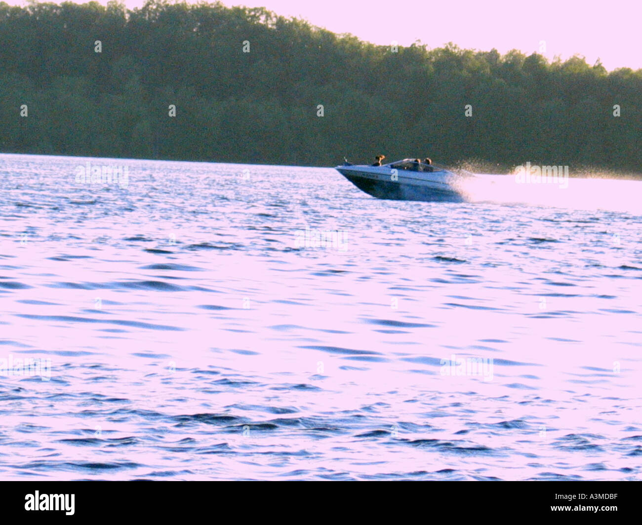 Speed boat zooming across lake Stock Photo - Alamy