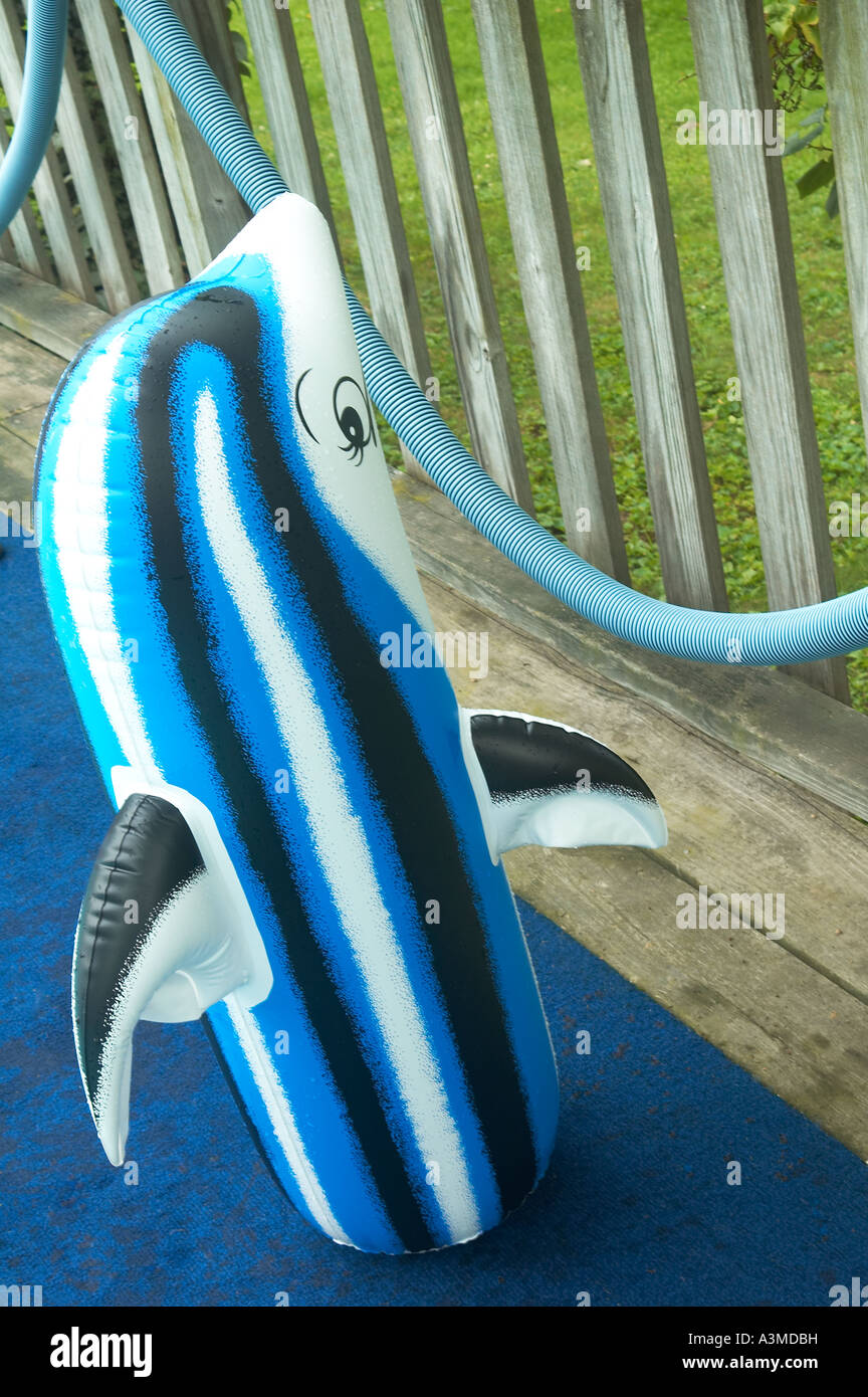inflatable dolphin toy swimming pool Stock Photo - Alamy