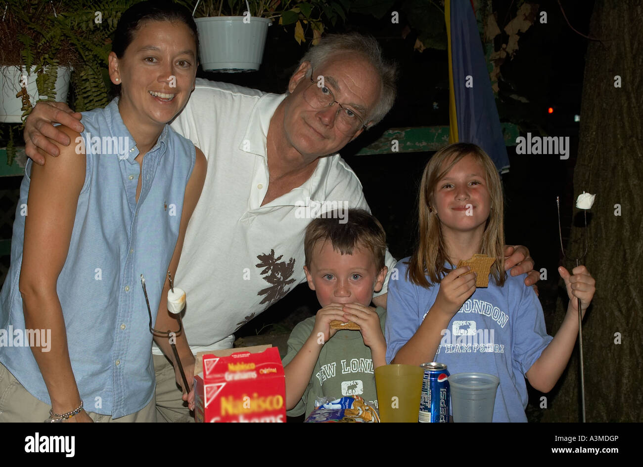family group summer picnic outing Stock Photo - Alamy