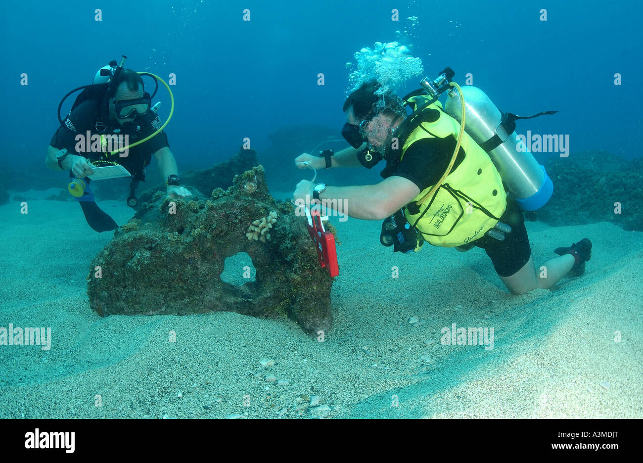 Divers on wreck of the Cornwallis. Pitcarn Island Stock Photo - Alamy