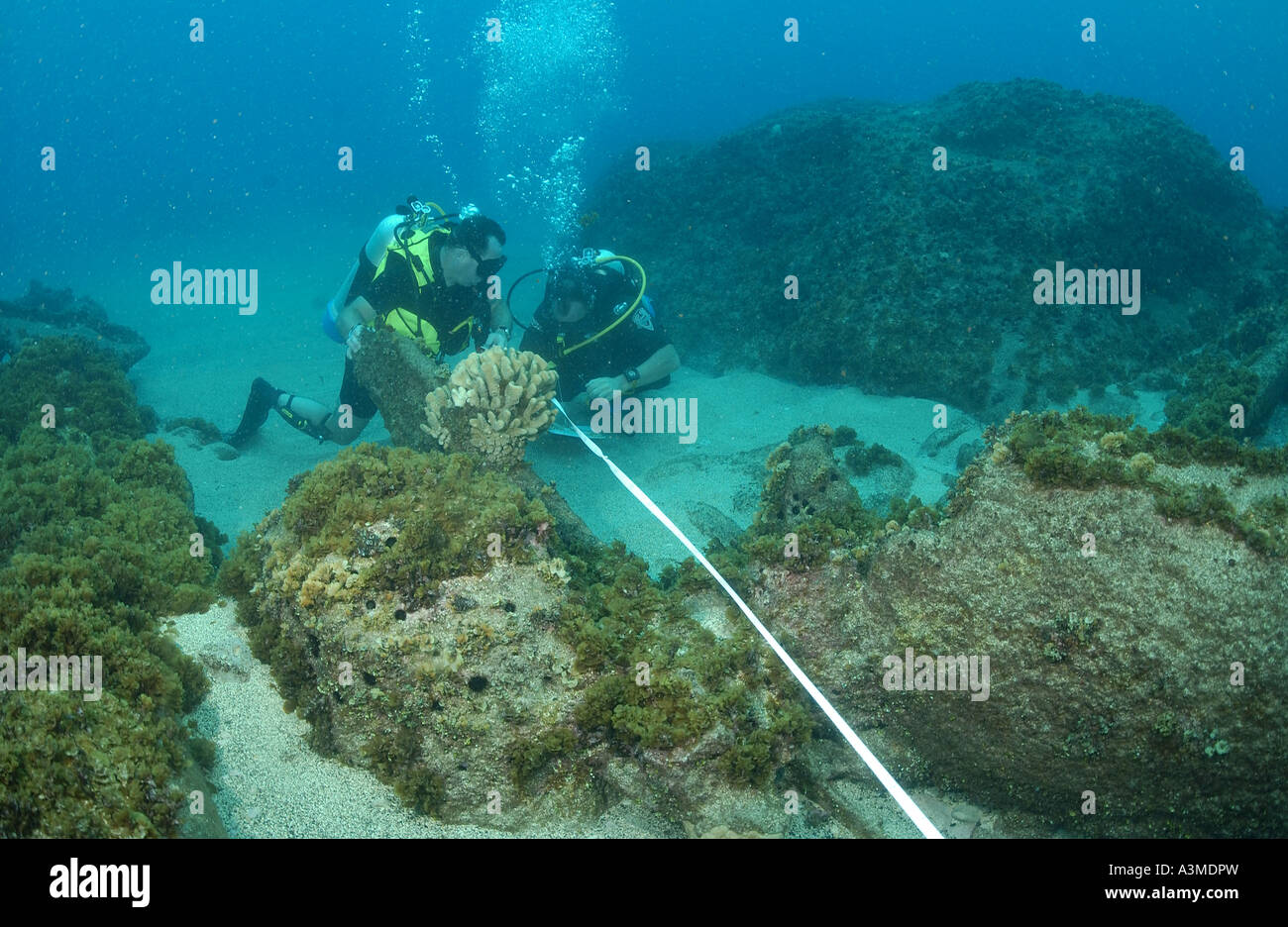 Bounty bay expedition hi-res stock photography and images - Alamy
