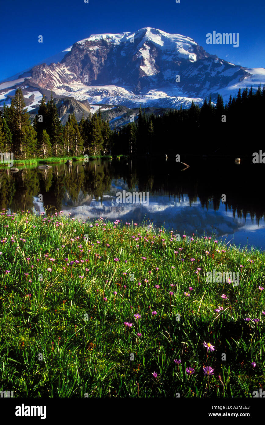 Willis wall mount rainier glacier hi-res stock photography and images ...