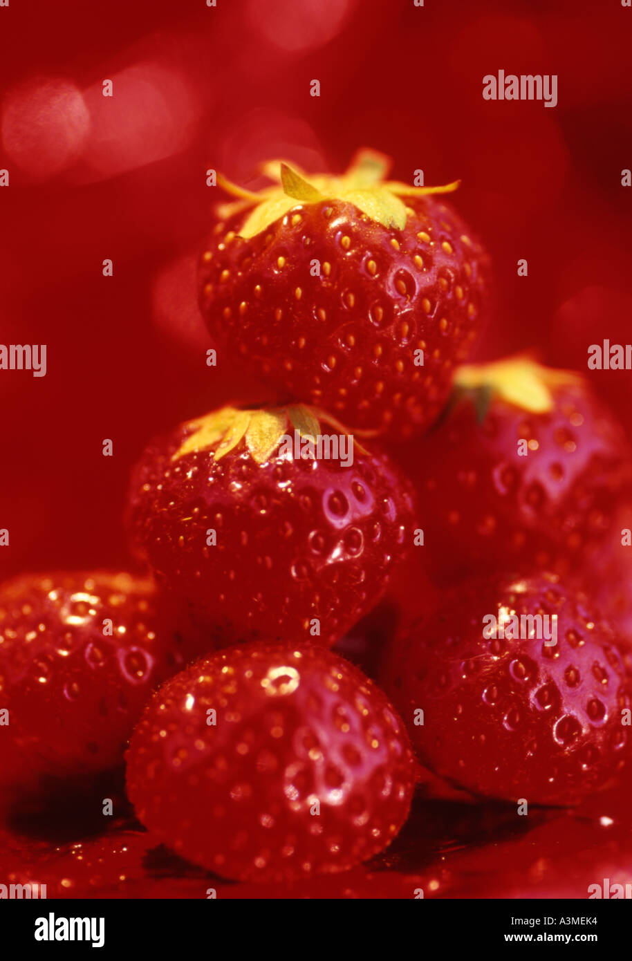 Wepion Strawberries (Belgian speciality Stock Photo - Alamy