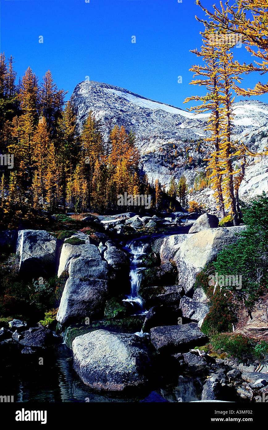 Sprite alpine hi-res stock photography and images - Alamy