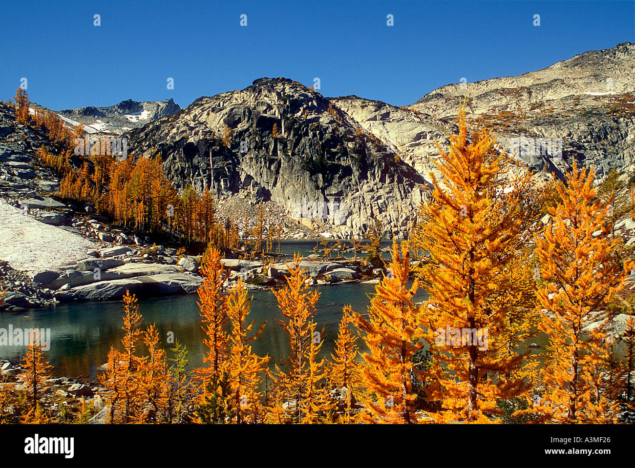 Fall larches poised above Sprite Lake in the Enchantment Lakes Alpine ...