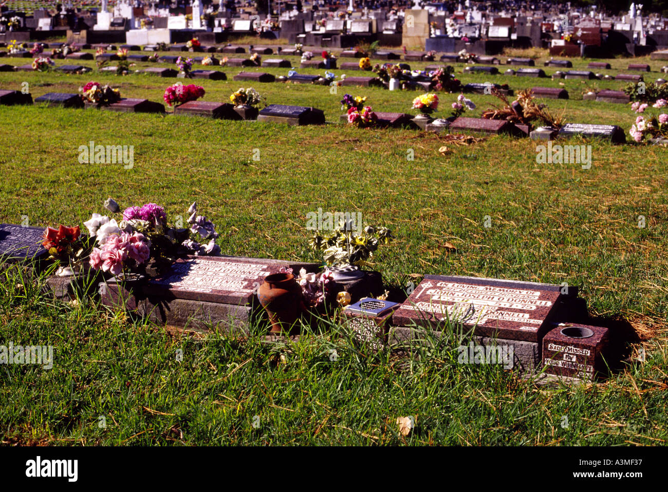 Rows of small memorial stones and plaques at cemetery on green grass ...