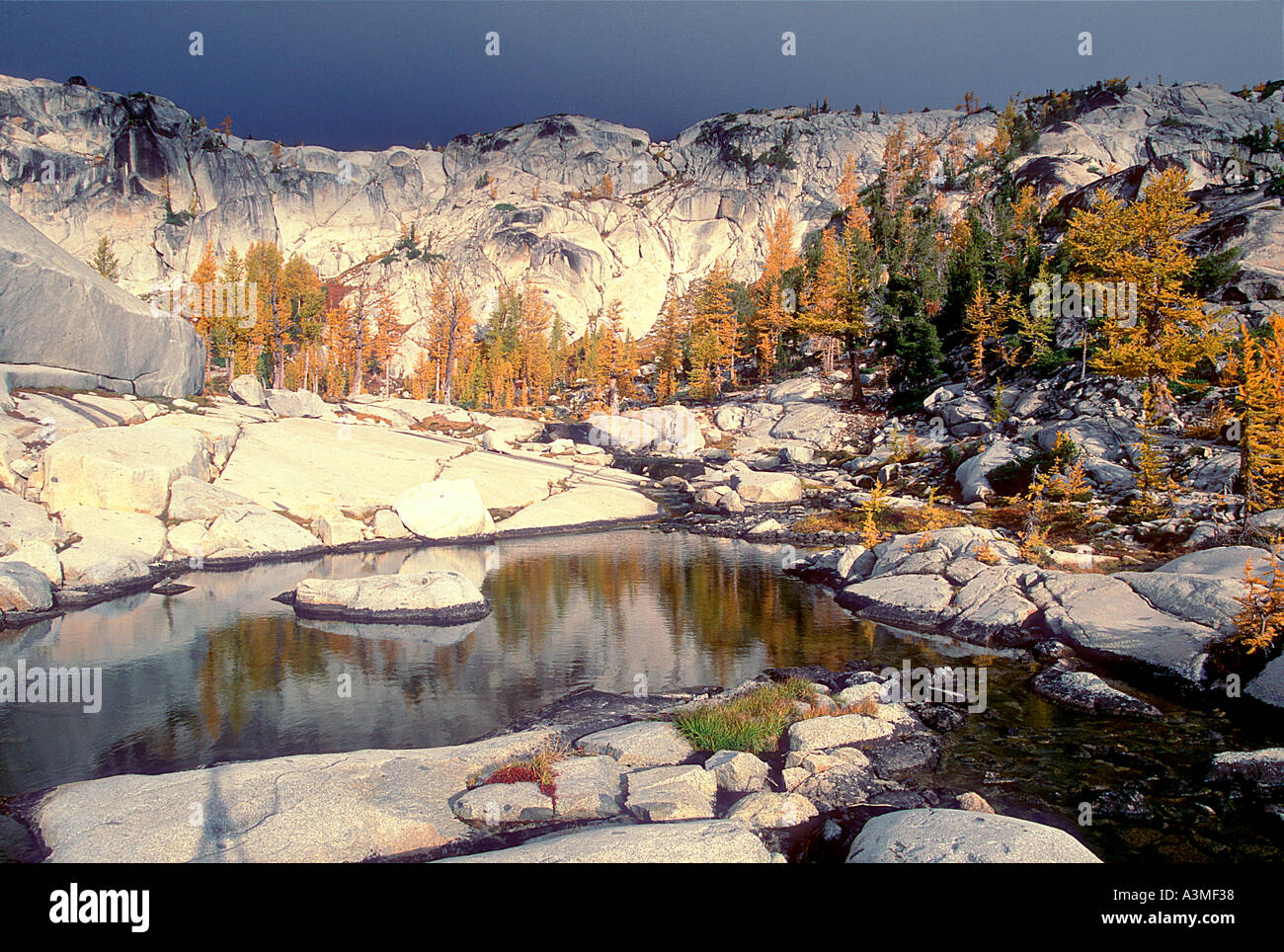 Fall larches dot the granite landscape in the lower Enchantment Lakes ...