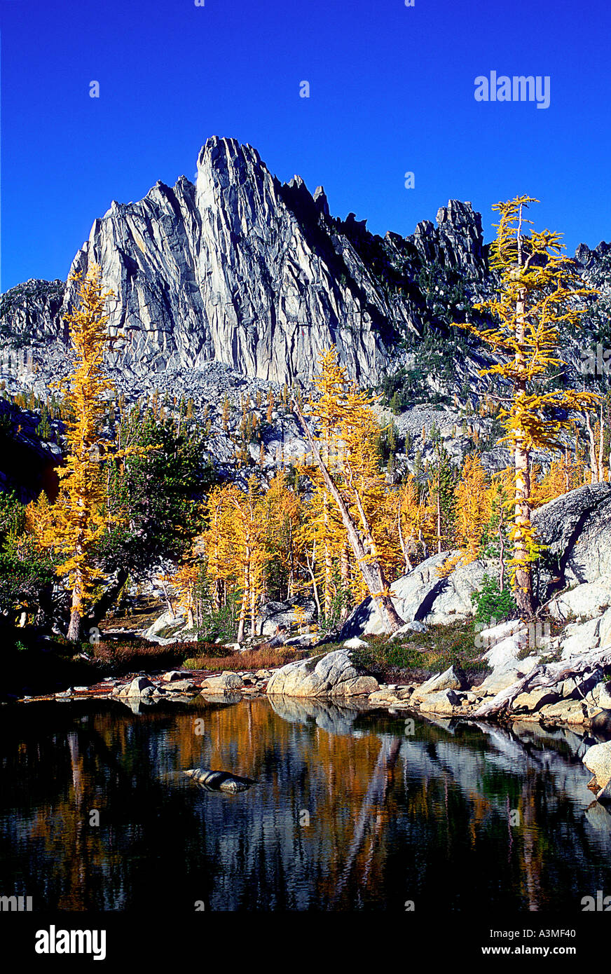 Prusik Peak above Leprechaun Lake and fall larches Enchantment Lakes ...