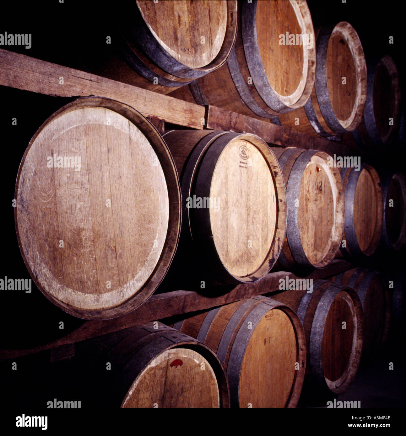 Large oak wooden barrels in a dark cellar set in rows and levels with ...
