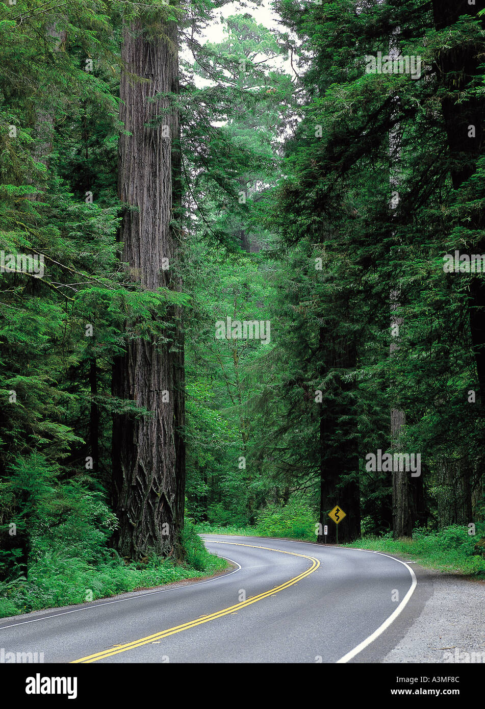 Road Nature Trees Sign Highway Forests Stock Photo - Alamy