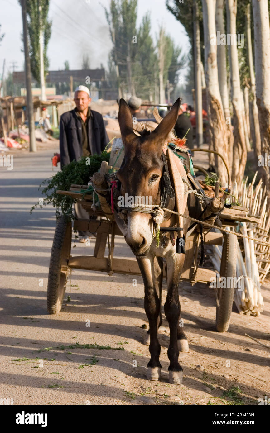 Silk road donkey cart hi-res stock photography and images - Alamy