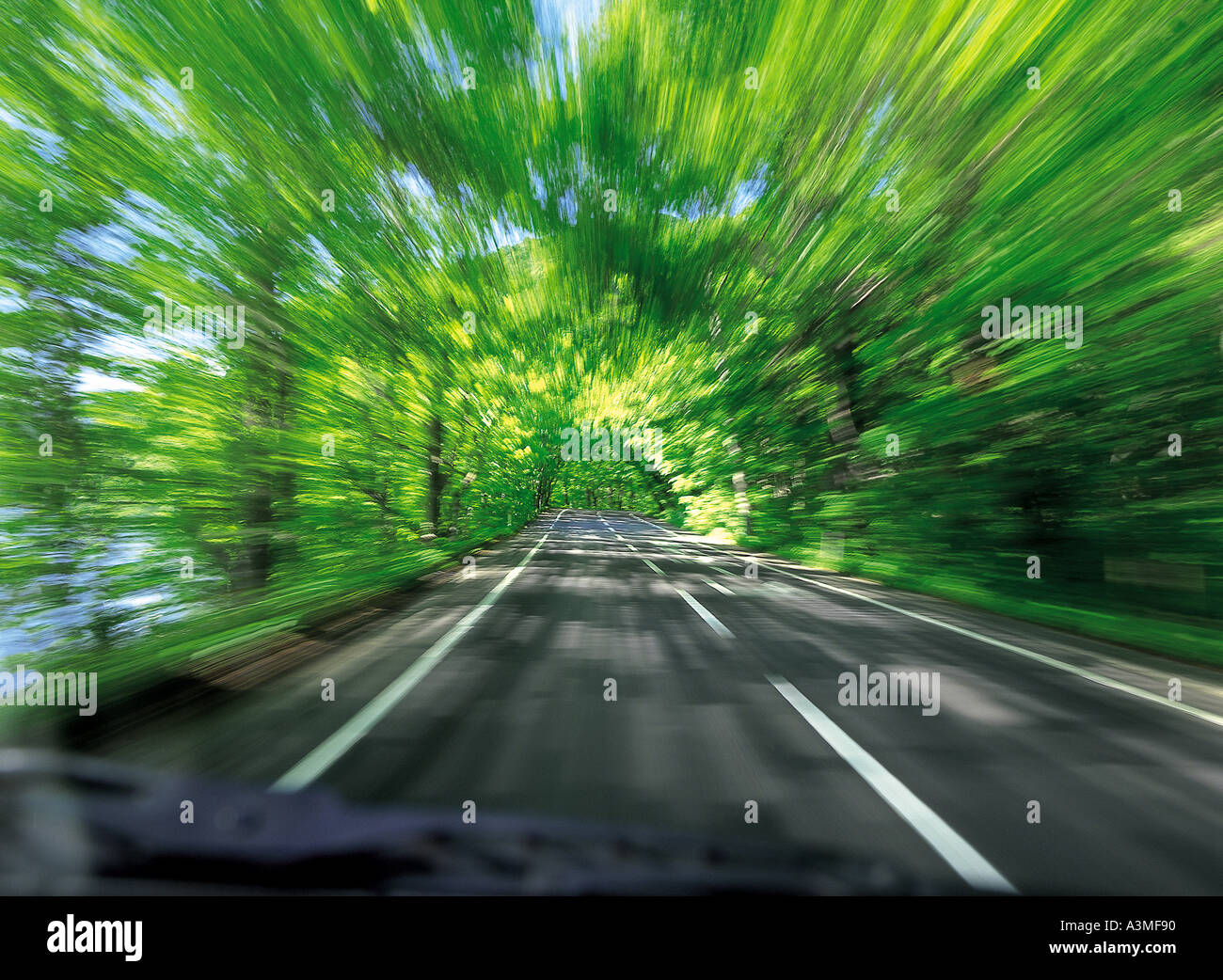 Road Nature Trees Highway Forests Stock Photo - Alamy