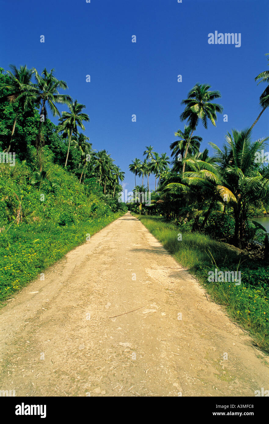 Road Nature Tropical Path Sky Palm Trees Stock Photo - Alamy
