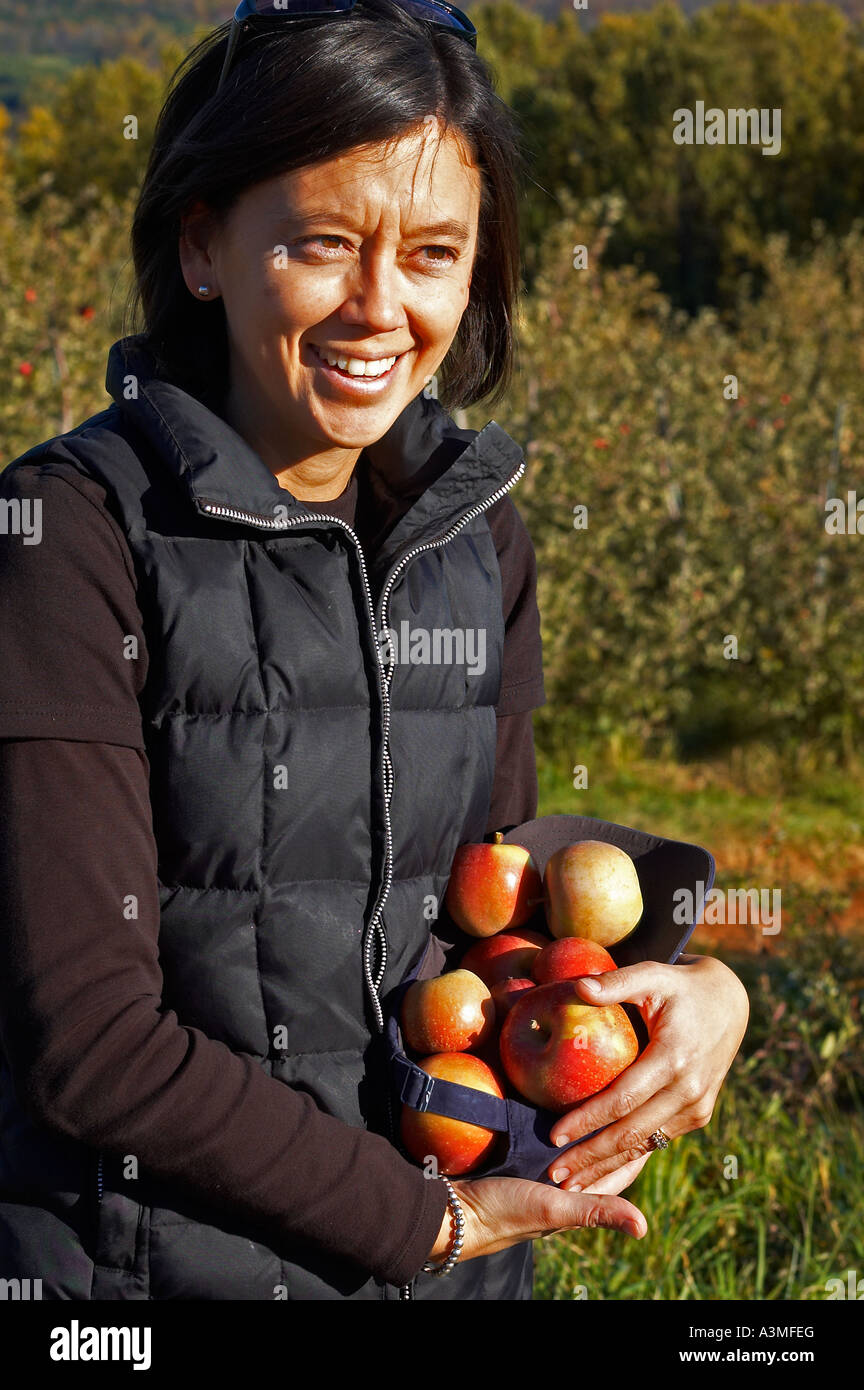 Fall autumn apple harvest season orchard Charlottesville VA Virginia ...