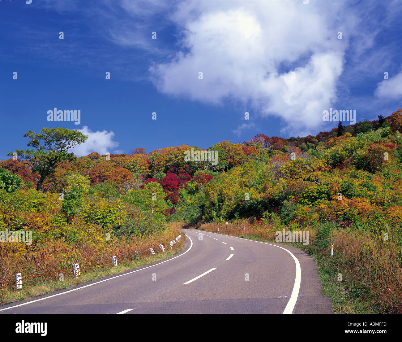 Road Nature Trees Sky Highway Clouds Forests Stock Photo - Alamy