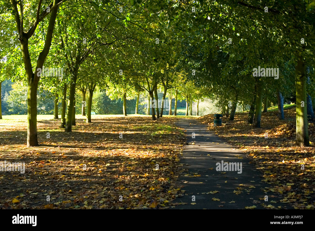 Path through a public park in Hertfordshire England Barclay park Early ...