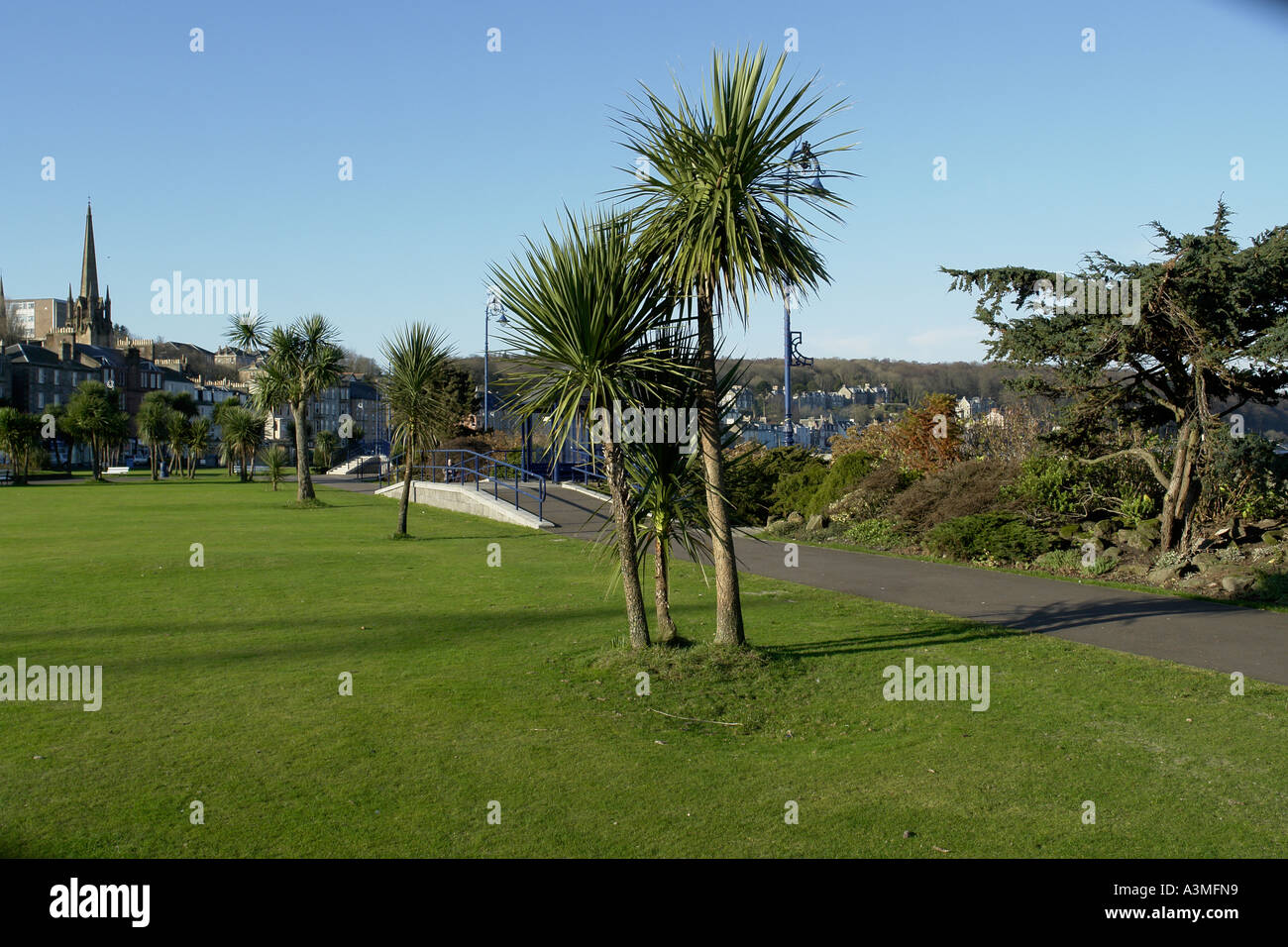 Palm trees rothesay hi-res stock photography and images - Alamy