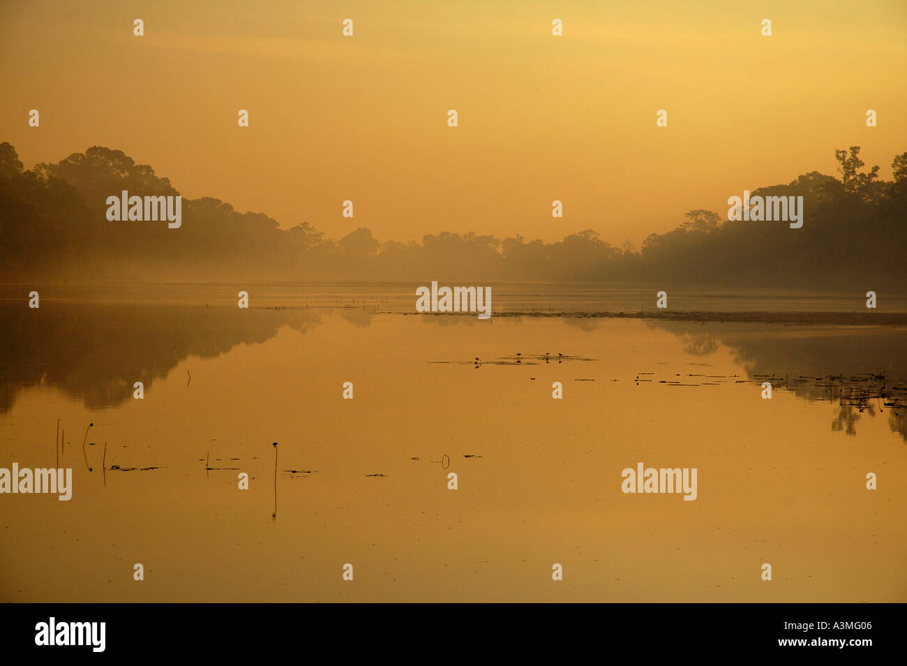 Dawn at the Moat around Angkor Wat in Cambodia Southeast Asia Stock ...