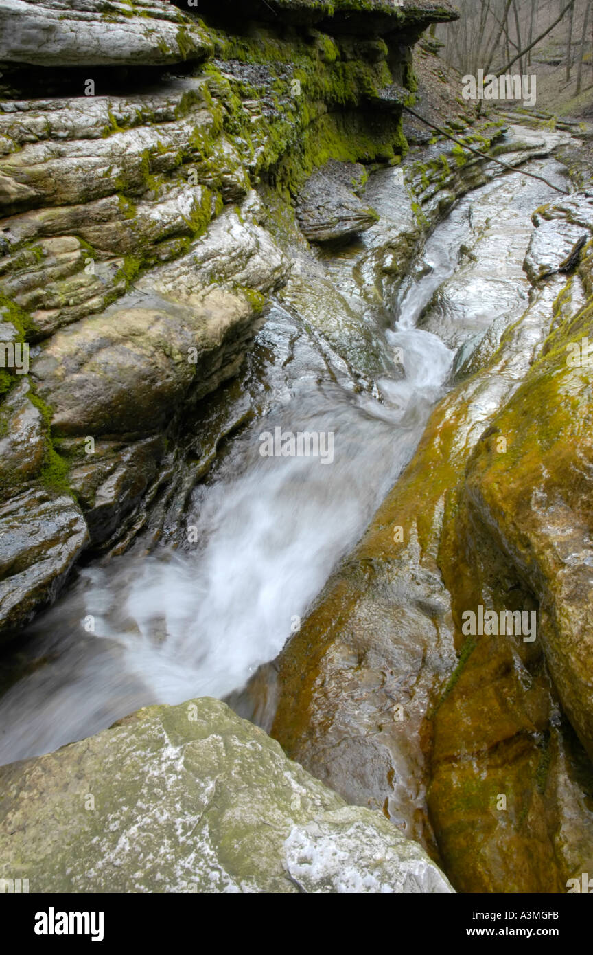 Cascade canyon preserve hi-res stock photography and images - Alamy