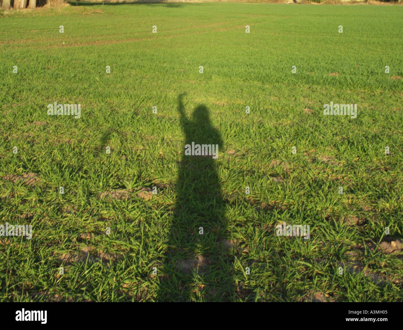 Shadow figure cast on hi-res stock photography and images - Alamy