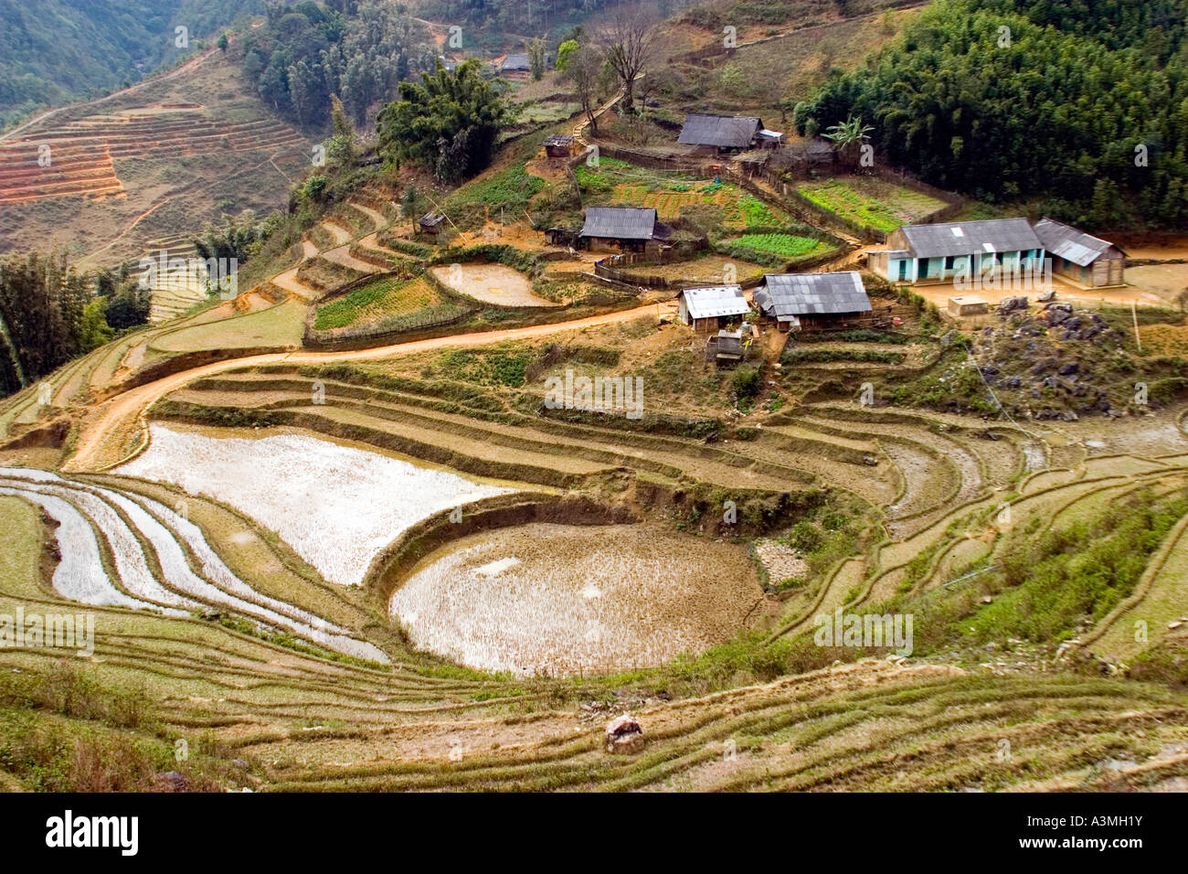 Rice fields of Sapa Stock Photo - Alamy