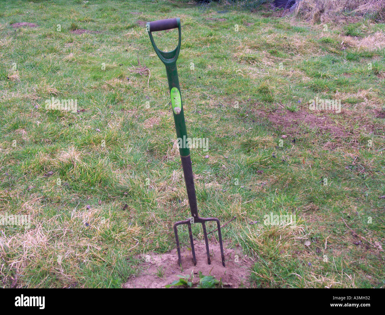 Forking A Lawn