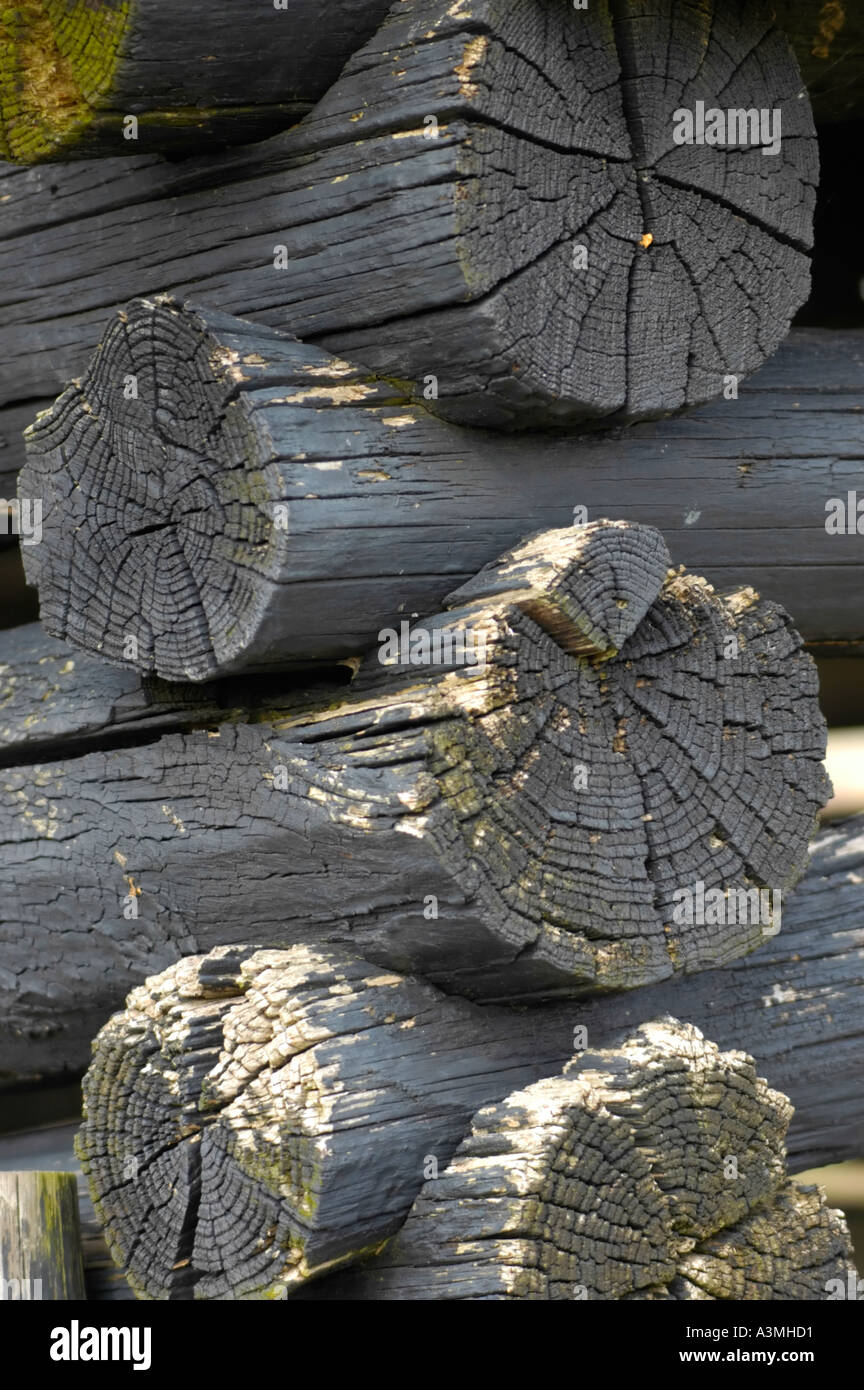 Crossed and notched logs used to construct an old corn shed in the ...