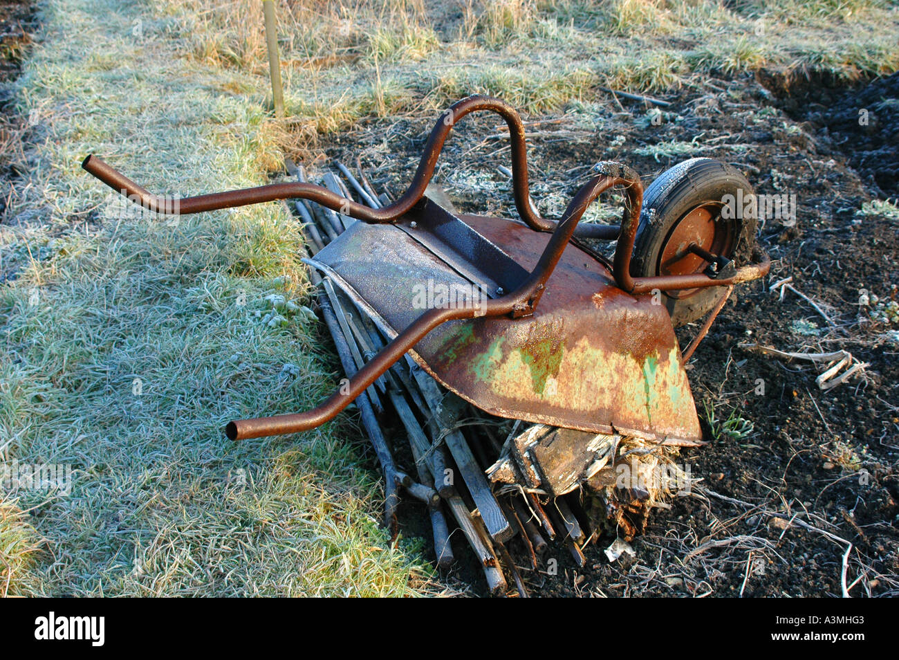 old wheelbarrow on allotment Stock Photo - Alamy