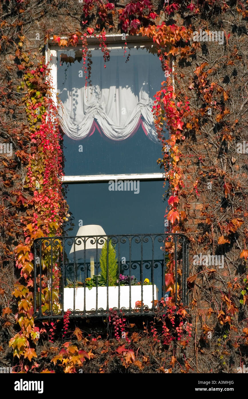Window in Dublin Stock Photo - Alamy