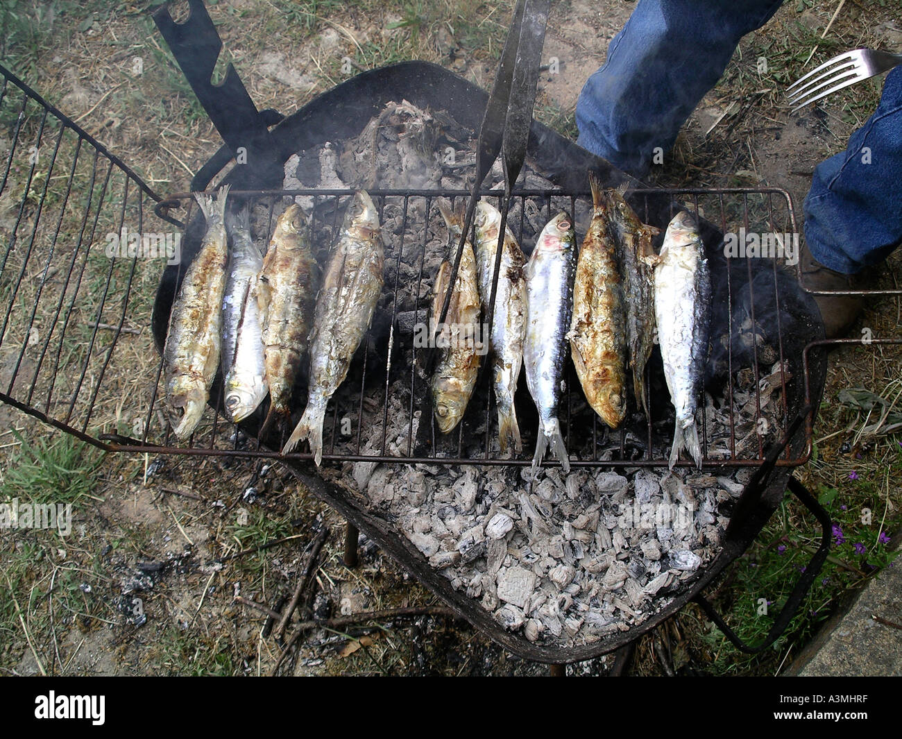 Sardines being grilled on a portuguese barbecue Stock Photo - Alamy