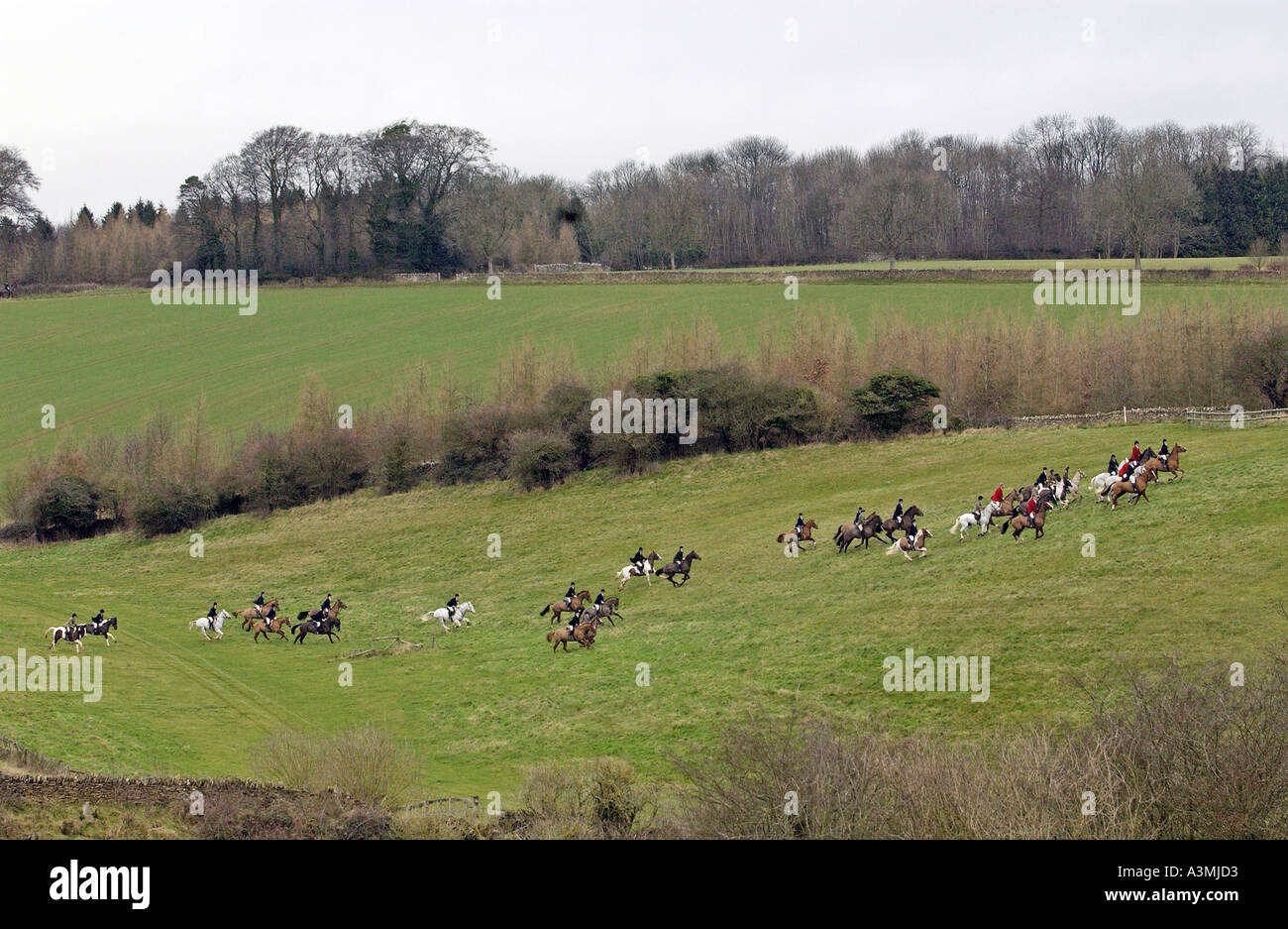 Huntsmen riding across fields during the Heythrop New Year s Day Hunt ...