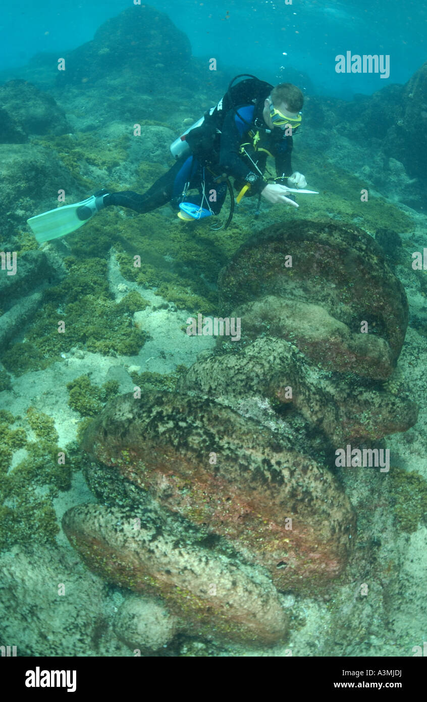 diver on Cornwallis wreck. Pitcarn Island Stock Photo - Alamy