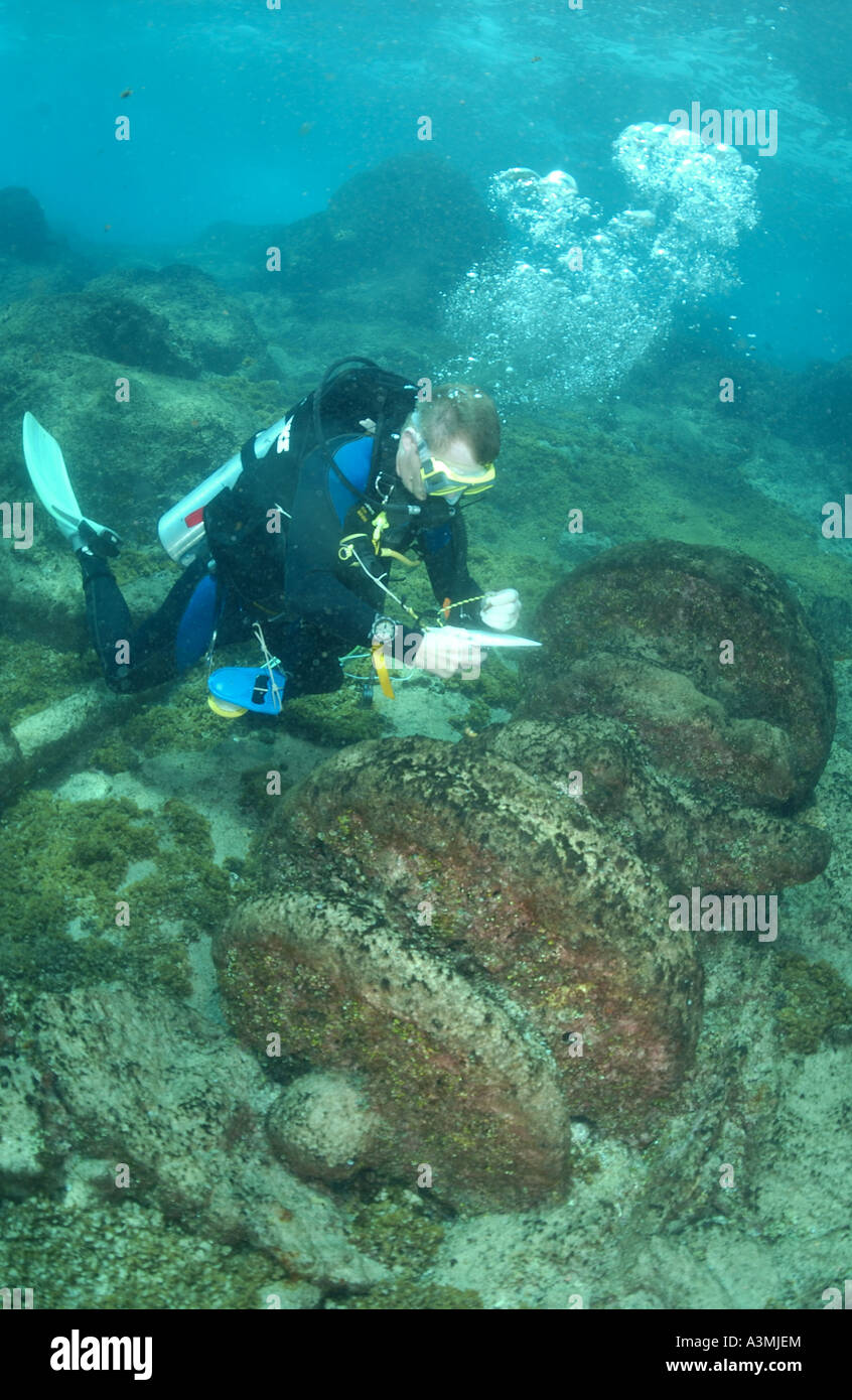 diver on Cornwallis wreck. Pitcarn Island Stock Photo - Alamy