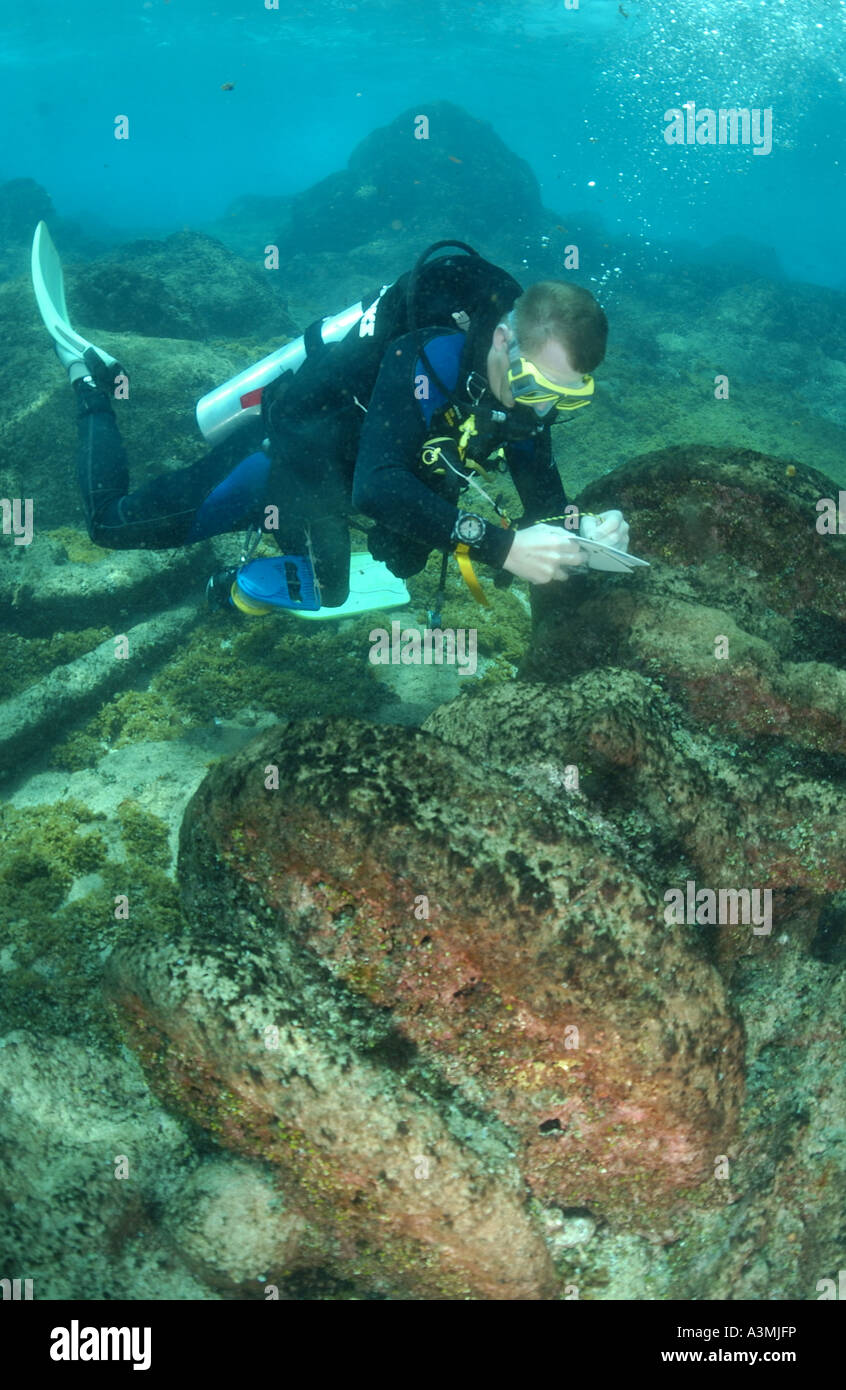 diver on Cornwallis wreck. Pitcarn Island Stock Photo - Alamy