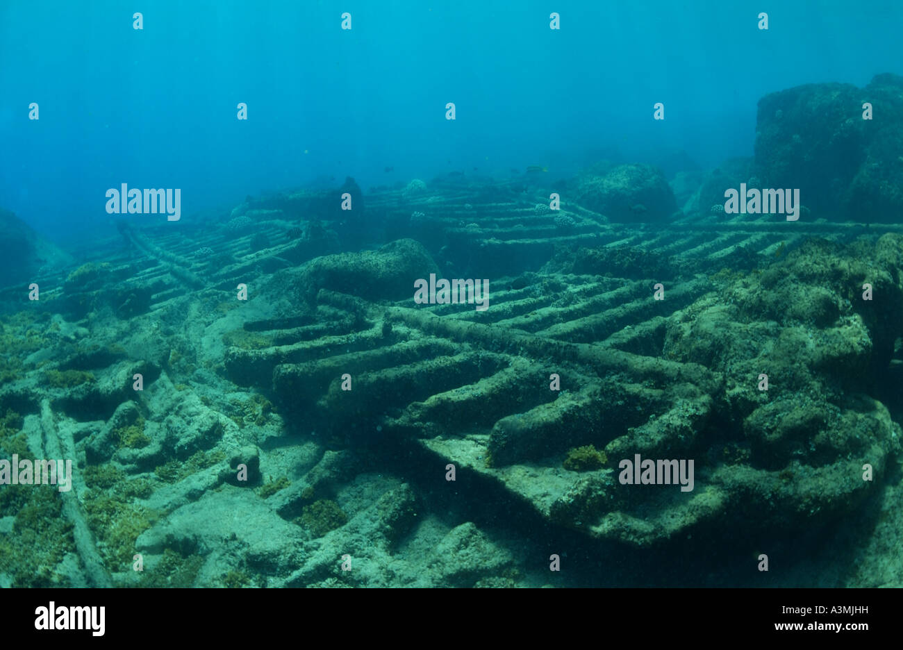 diver on Cornwallis wreck. Pitcarn Island Stock Photo - Alamy