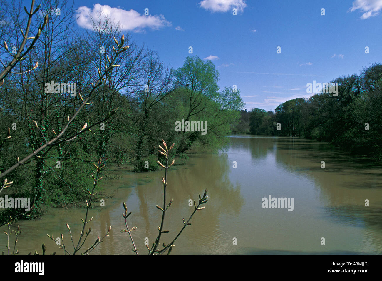 River Cherwell Oxford UK Stock Photo - Alamy