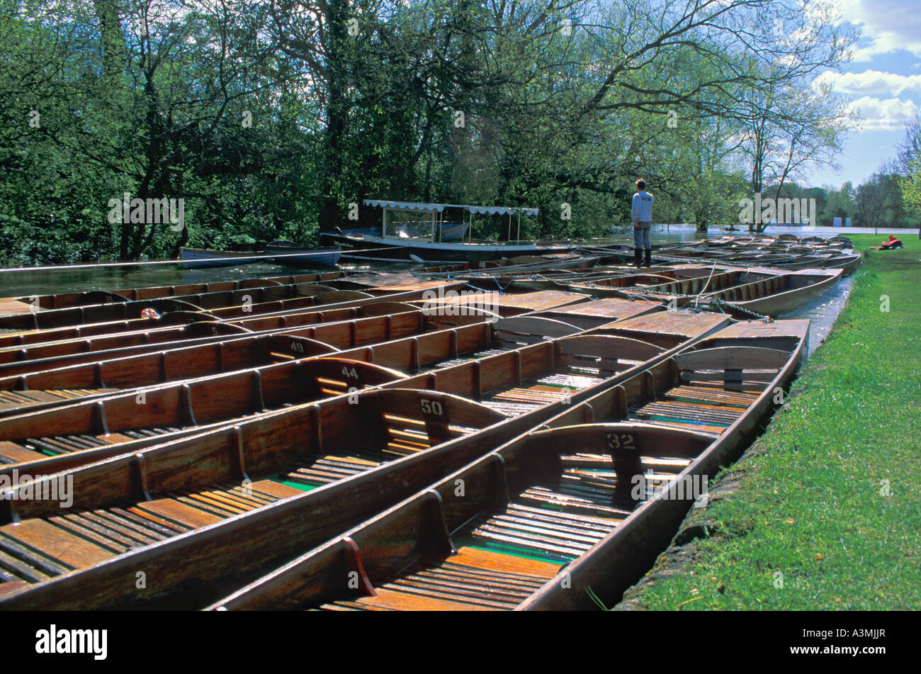 Punts on the Cherwell River Botanical Gardens, Oxford, England Stock ...