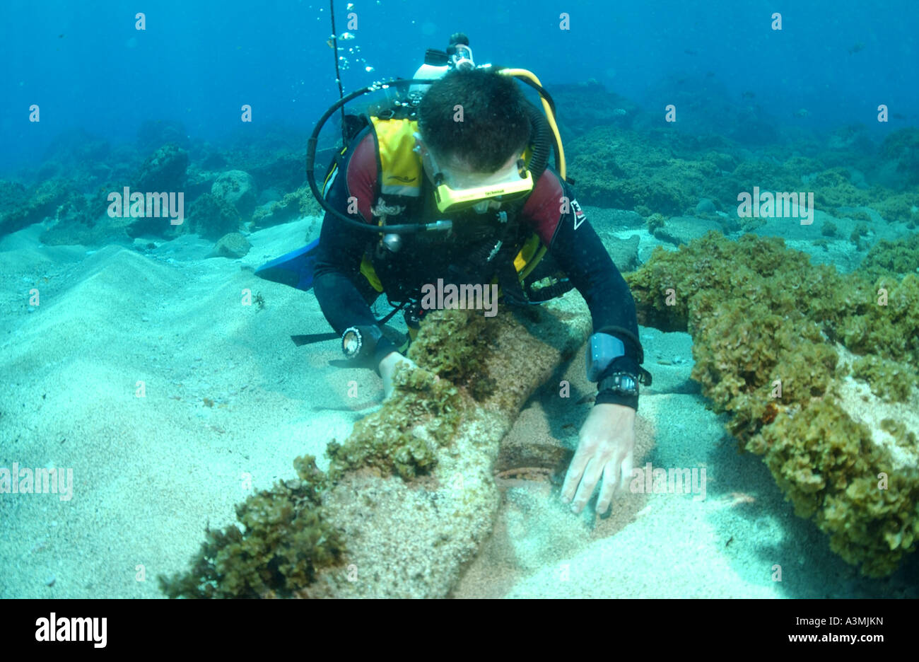diver on Cornwallis wreck. Pitcarn Island Stock Photo - Alamy