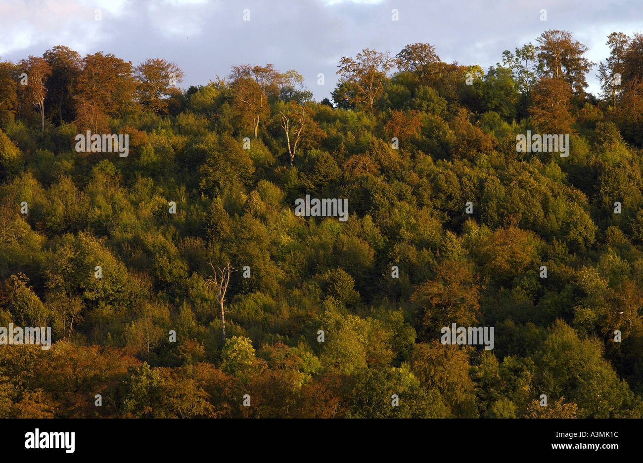 Seasons in england hi-res stock photography and images - Alamy