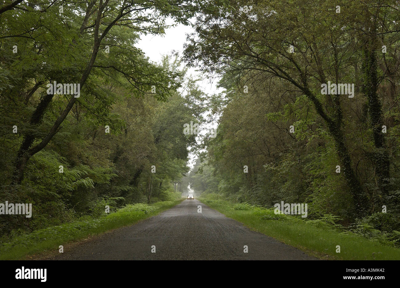 French road hi-res stock photography and images - Alamy