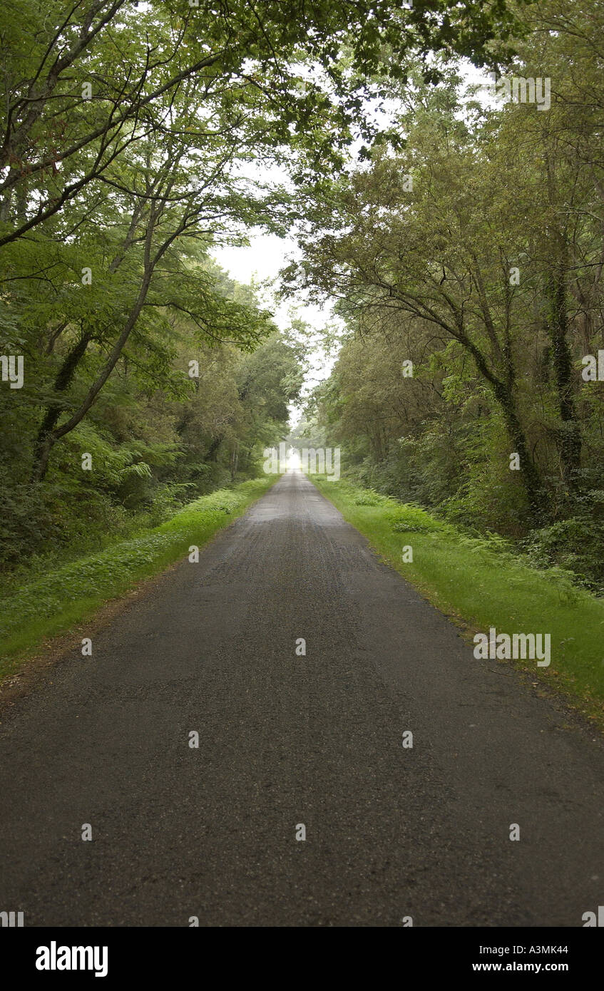 Roads less travelled hi-res stock photography and images - Alamy