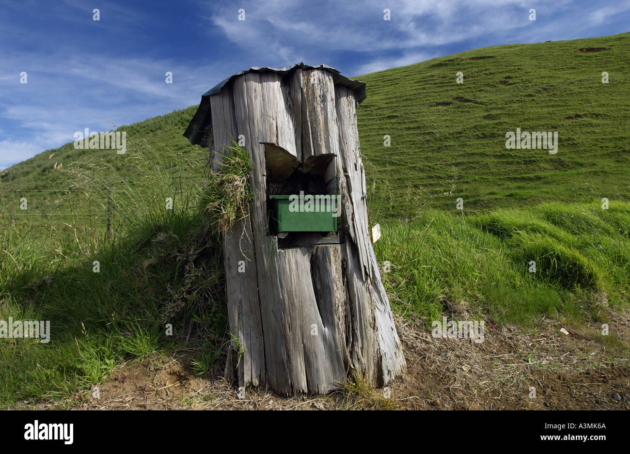 Mailbox set into tree trunk North Island New Zealand Stock Photo - Alamy