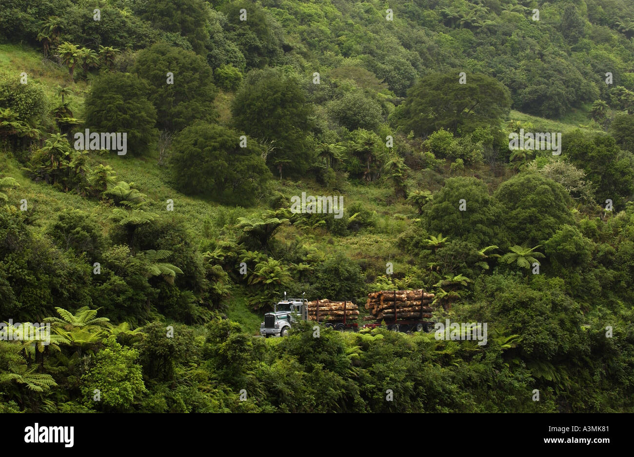 Logging truck New Zealand Stock Photo - Alamy