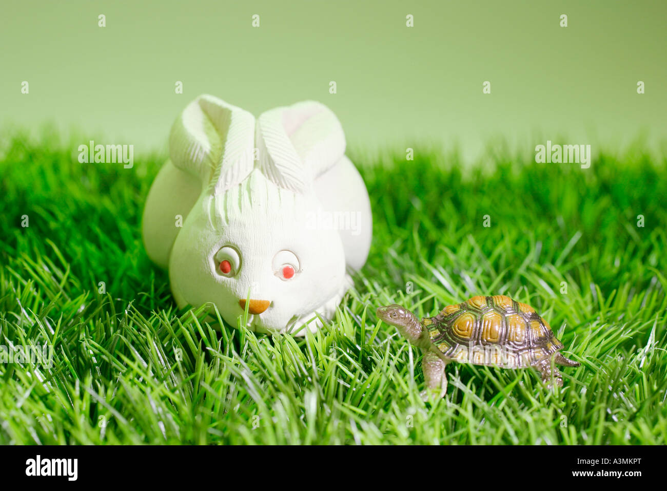 Hare and tortoise race hi-res stock photography and images - Alamy
