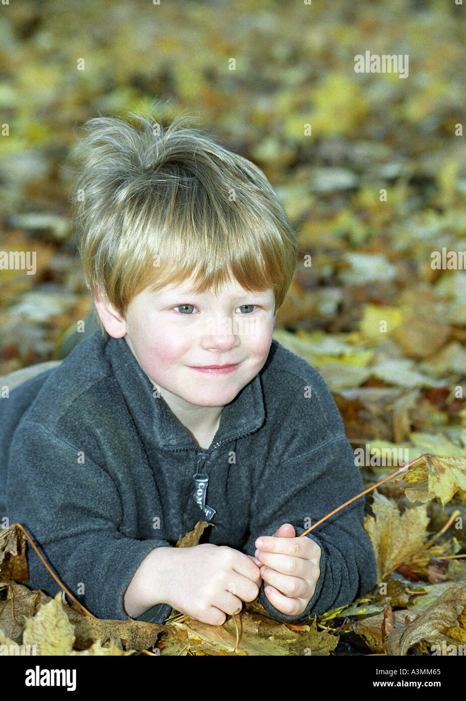 Outdoor vertical portrait of little boy lying in autumn leaves Stock ...