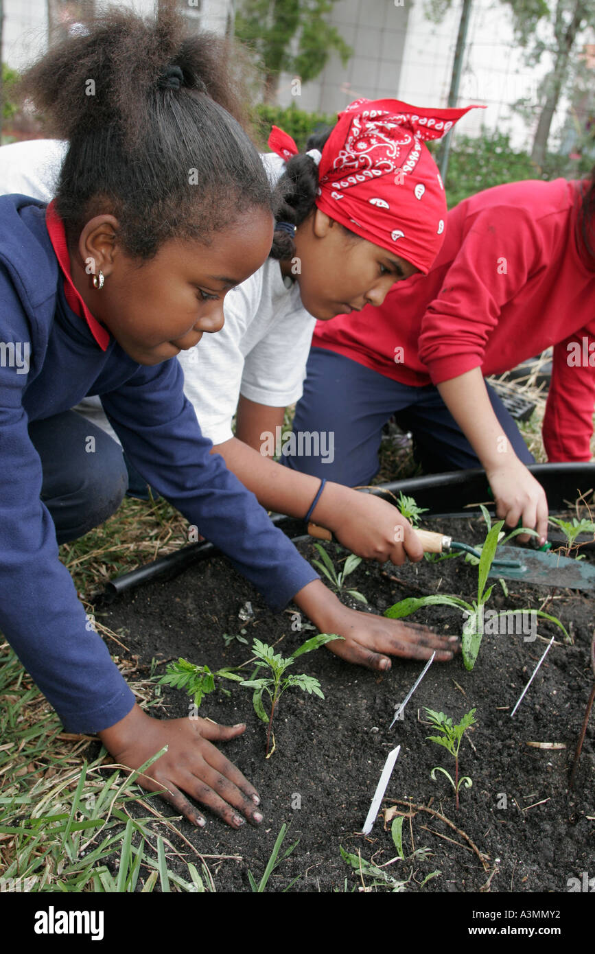 Miami Beach Florida,Feinberg Fisher Elementary School,campus,primary ...