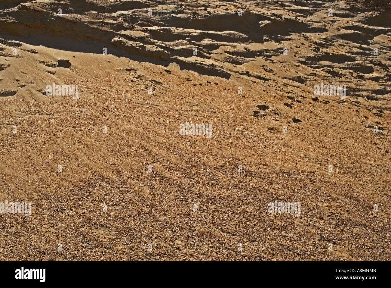 Parched earth as a result of a drought situation Stock Photo - Alamy