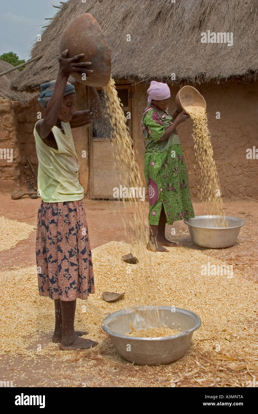 Winnowing hi-res stock photography and images - Alamy