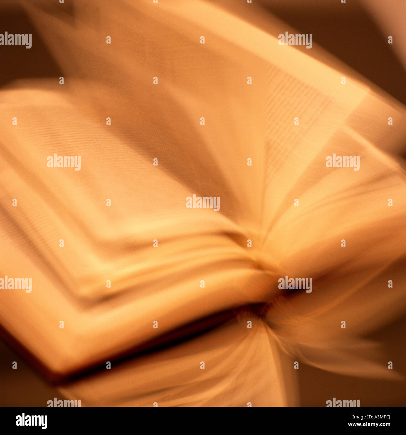 pages turning in open book, motion blur Stock Photo - Alamy